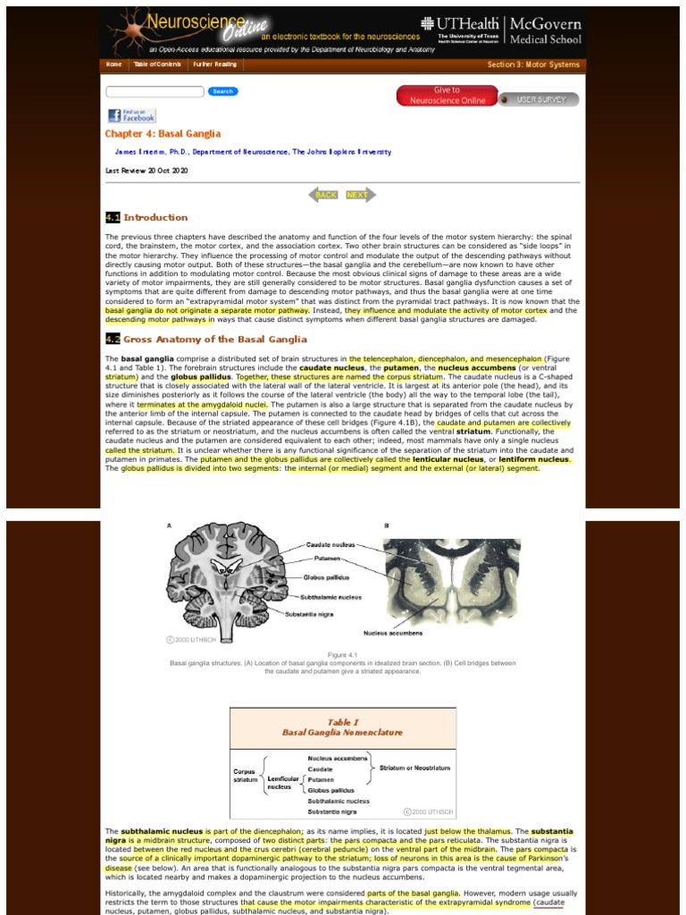 Chapter 4: Basal Ganglia: James Knierim, Ph.D. Department of ...