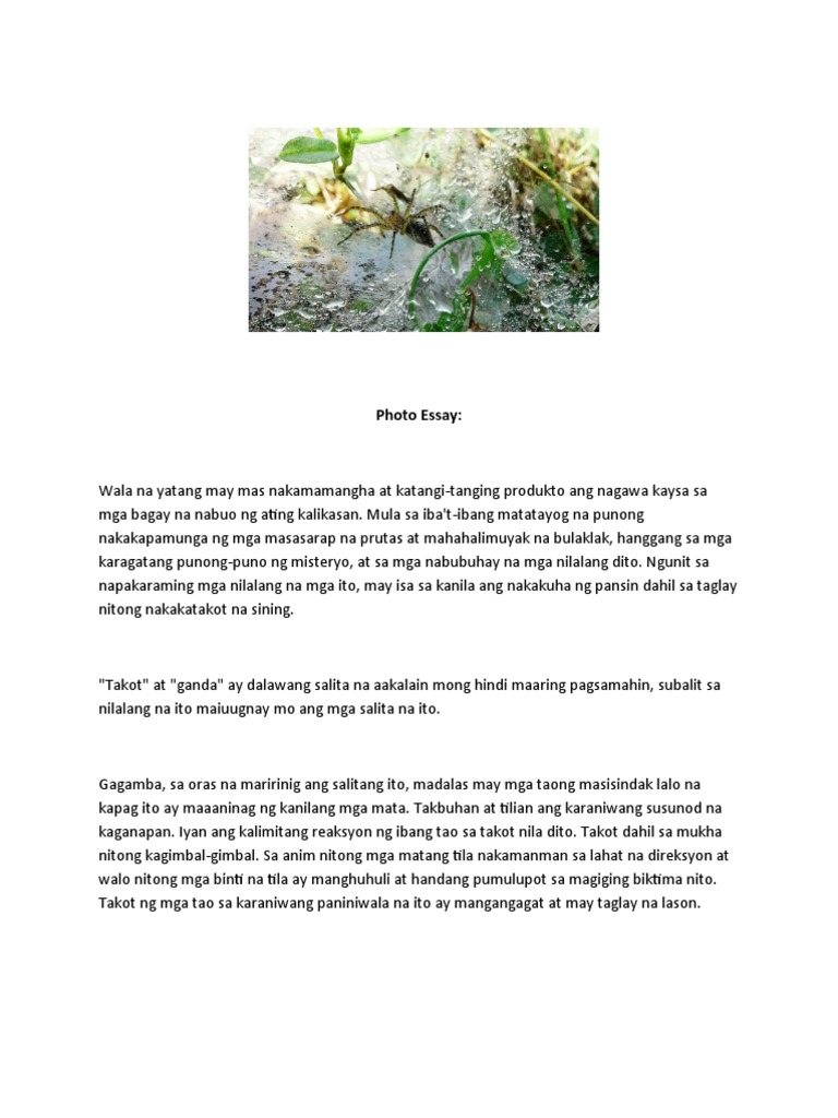 Photo Essay Part 1 Filipino | PDF