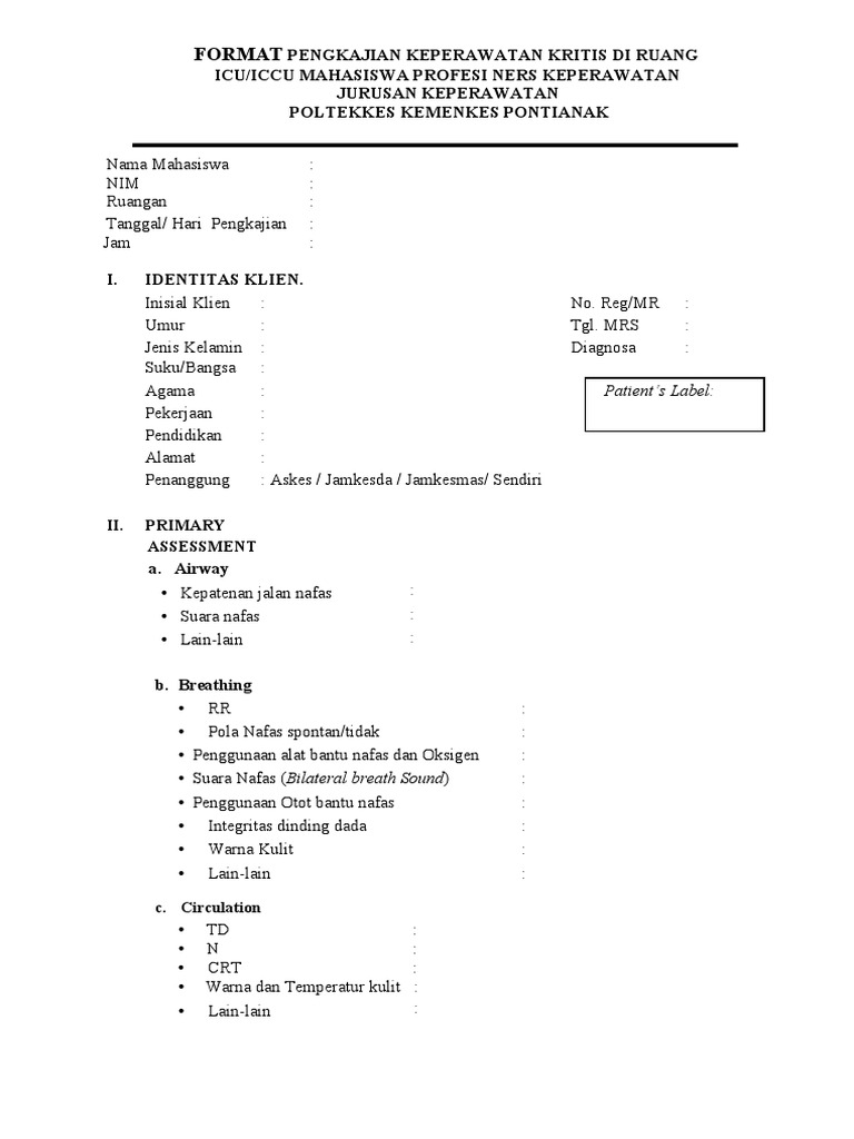 Format Gadar Kritis | PDF