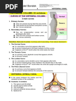 Anatomy Upper Limb Sameh Doss | PDF | Musculoskeletal System | Limbs (Anatomy)