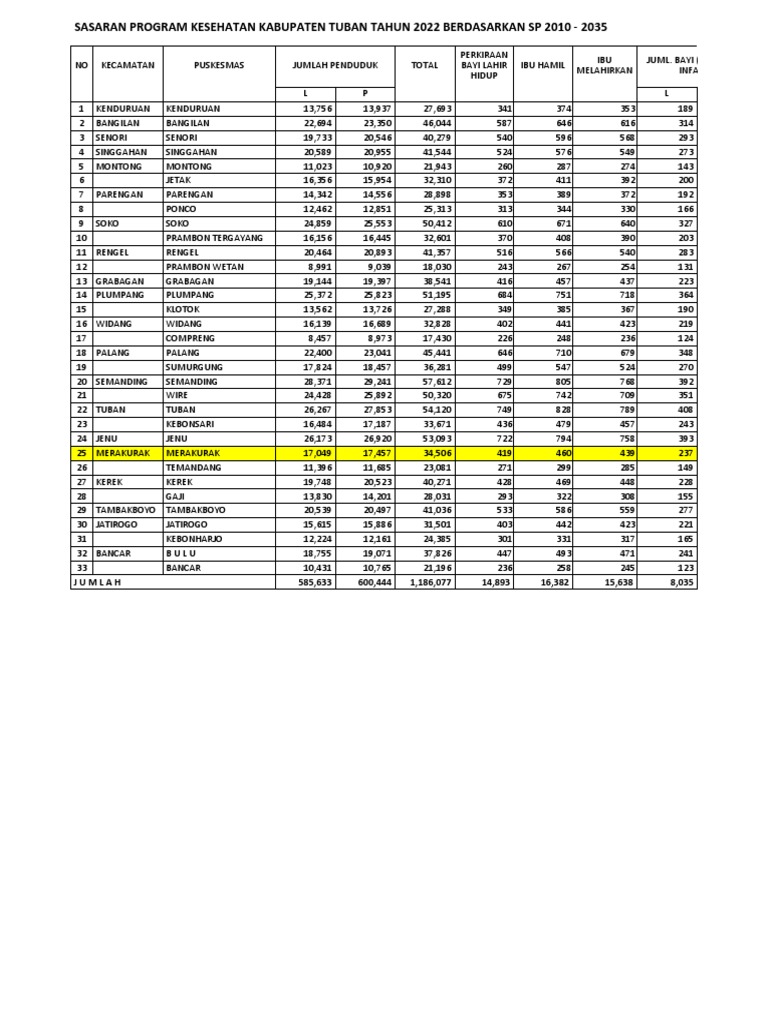 Publish Data Sasaran Kesehatan 2022 | PDF
