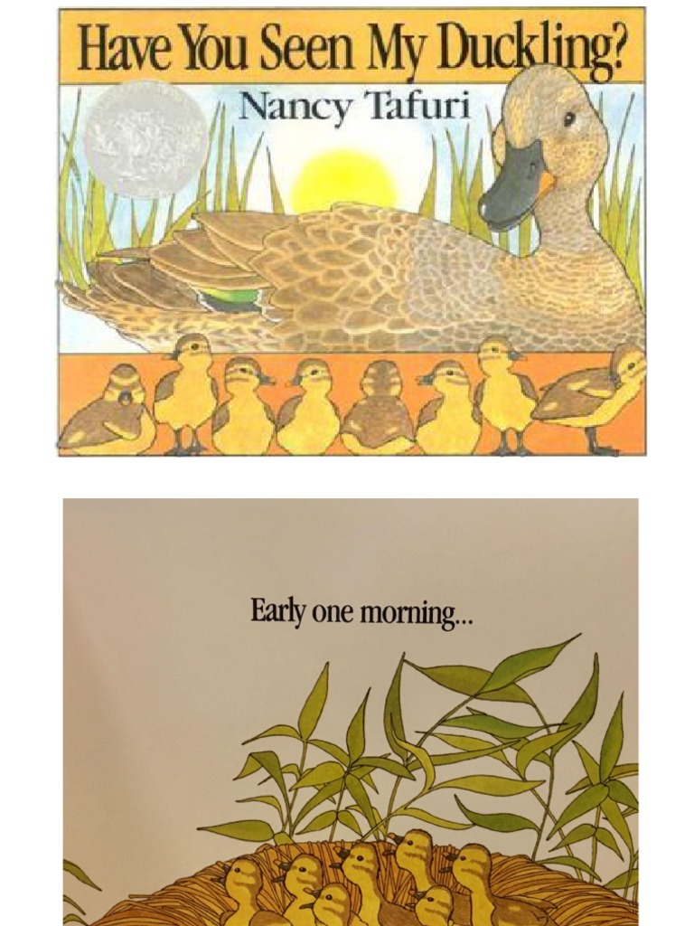 Have You Seen My Duckling | PDF