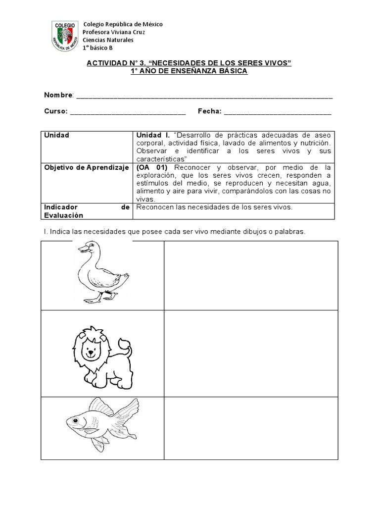 Actividad N°3 LAS - NECESIDADES - DE - LOS - SERES - VIVOS | PDF