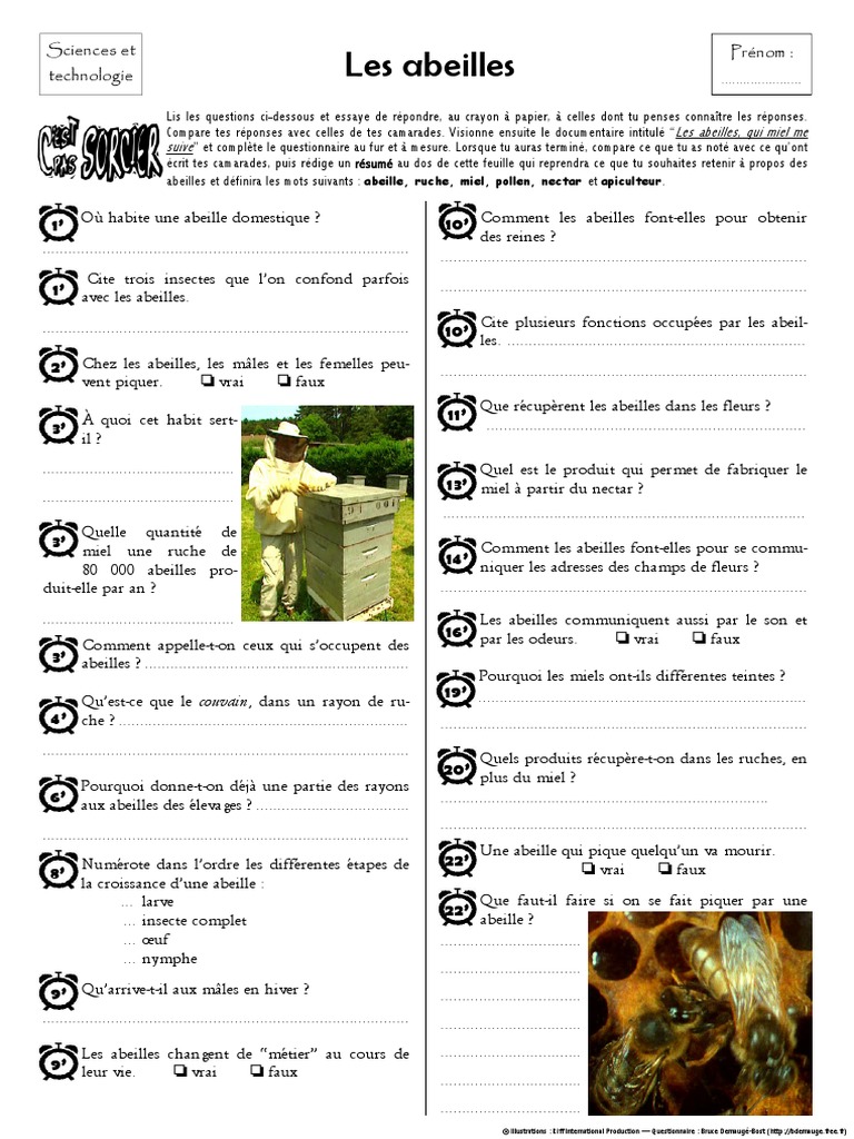Les Abeilles | PDF | Apis (insecte) | Abeille européenne