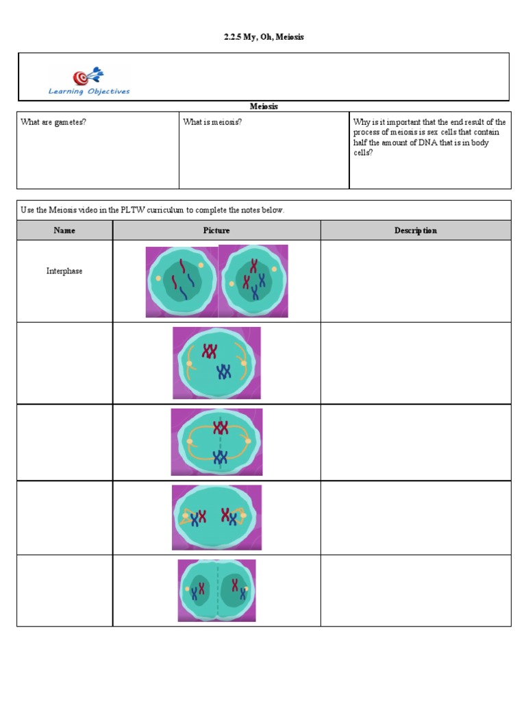 2 2 5+Student+Workbook | PDF | Meiosis | Genetics