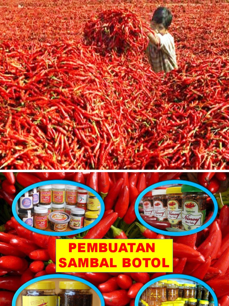 Proses Pembuatan Sambal Botol | PDF