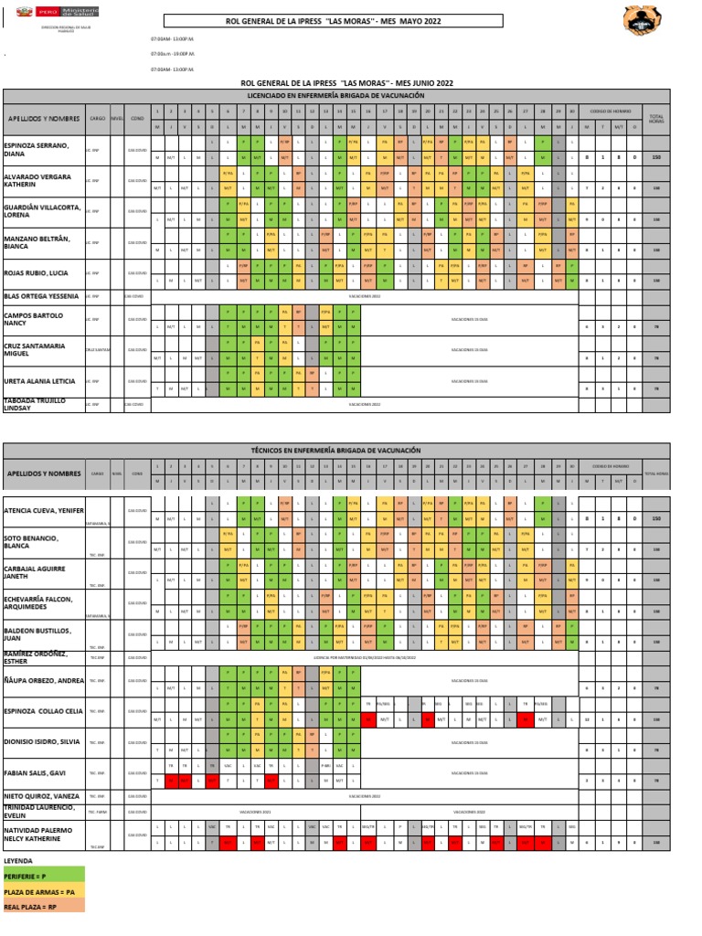 Rol Junio Programacion | PDF