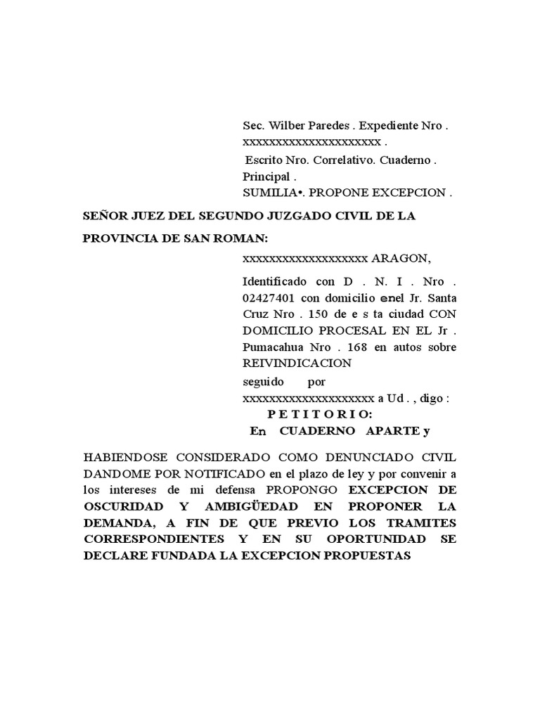 Excepcion Modelo | PDF | Demanda judicial | Propiedad