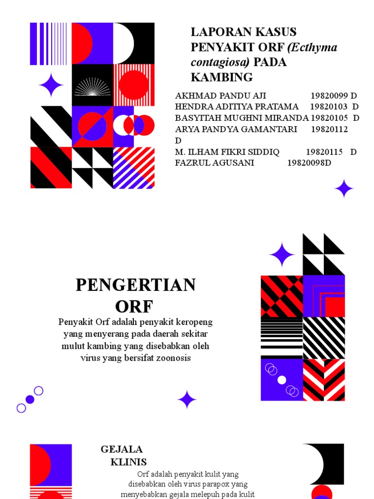 Tugas Kelompok Ipdv - Penyakit Orf Pada Kambing - Kelas D | PDF