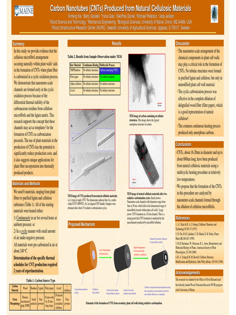 CNT Poster | PDF | Carbon Nanotube | Cellulose