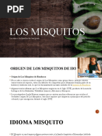 Cultura y Tradiciones de los Misquitos | PDF