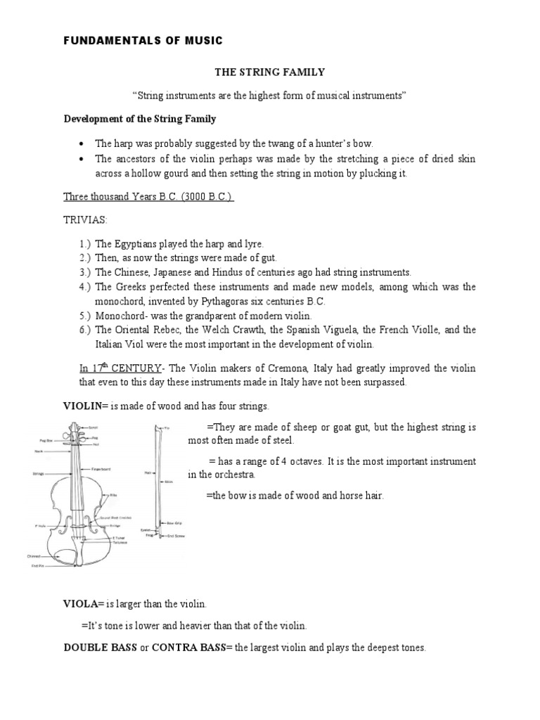 The String Family | PDF | String Instruments | Clarinet