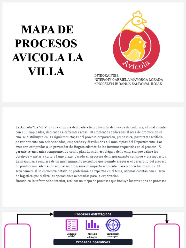 Mapa de procesos de la Avícola La Villa | PDF | Logística | Calidad ...