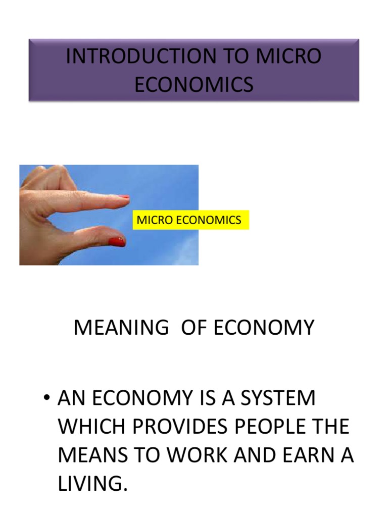 Introduction To Economics | PDF | Economics | Economies