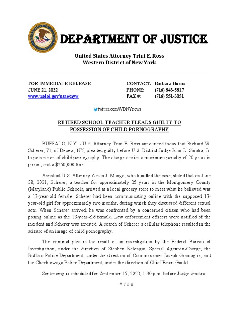 Scherer (Richard) Plea | PDF