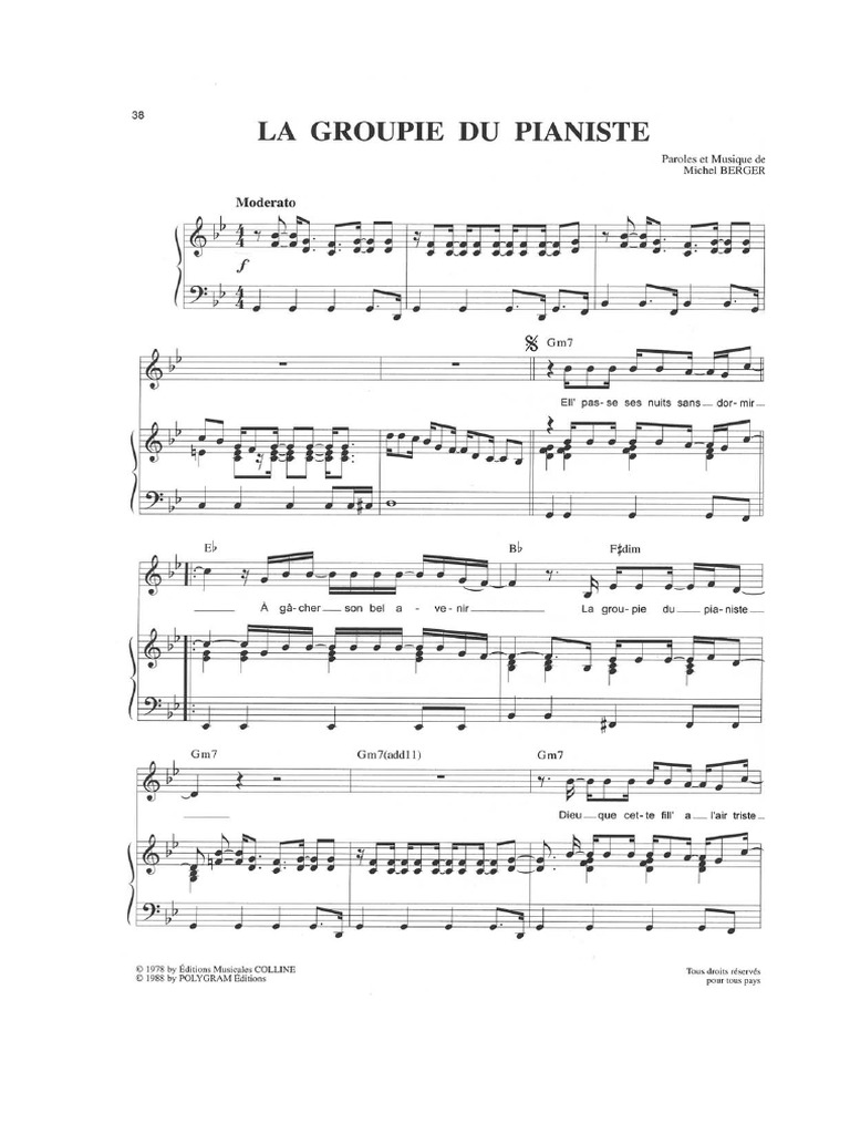 La Groupie Du Pianist | PDF