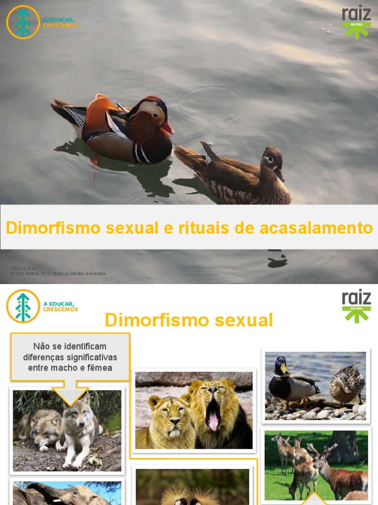 Re82115 Cv5 Dimorfismo Sexual Rituais Acasalamento | PDF | Acasalamento ...