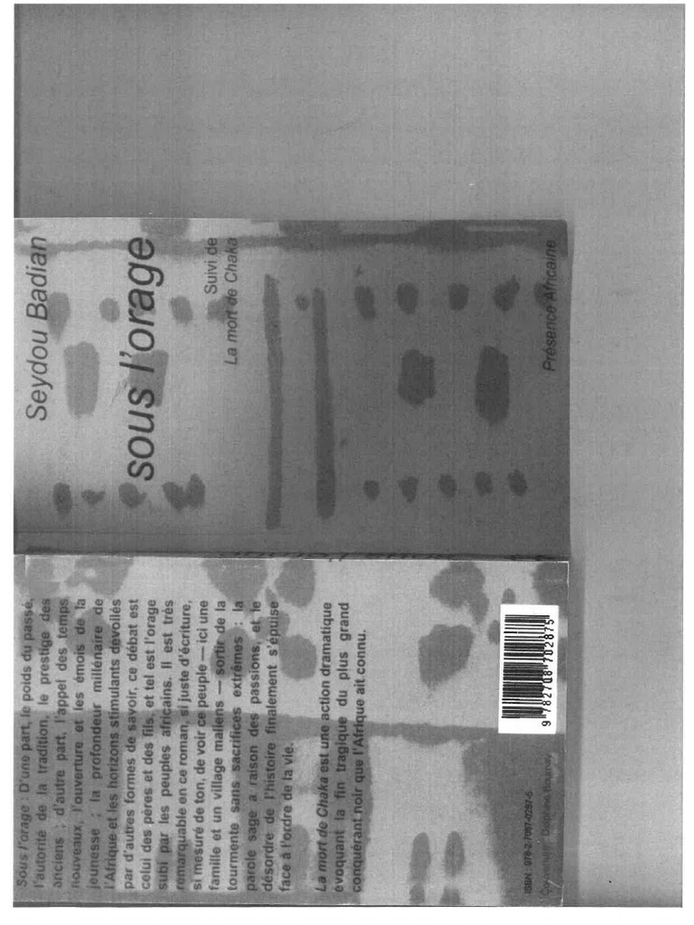 Seydou Badian - Sous L'orage | PDF