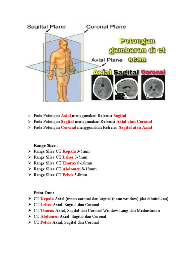 Potongan CT Scan: Axial, Sagital, Coronal | PDF | Griya & Taman | Sains ...