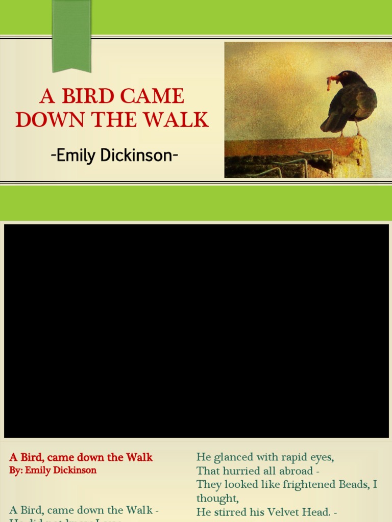 A Bird Came Down The Walk | PDF | Emily Dickinson | Poetry