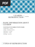 Lizard Life Cycle Stages Explained | PDF
