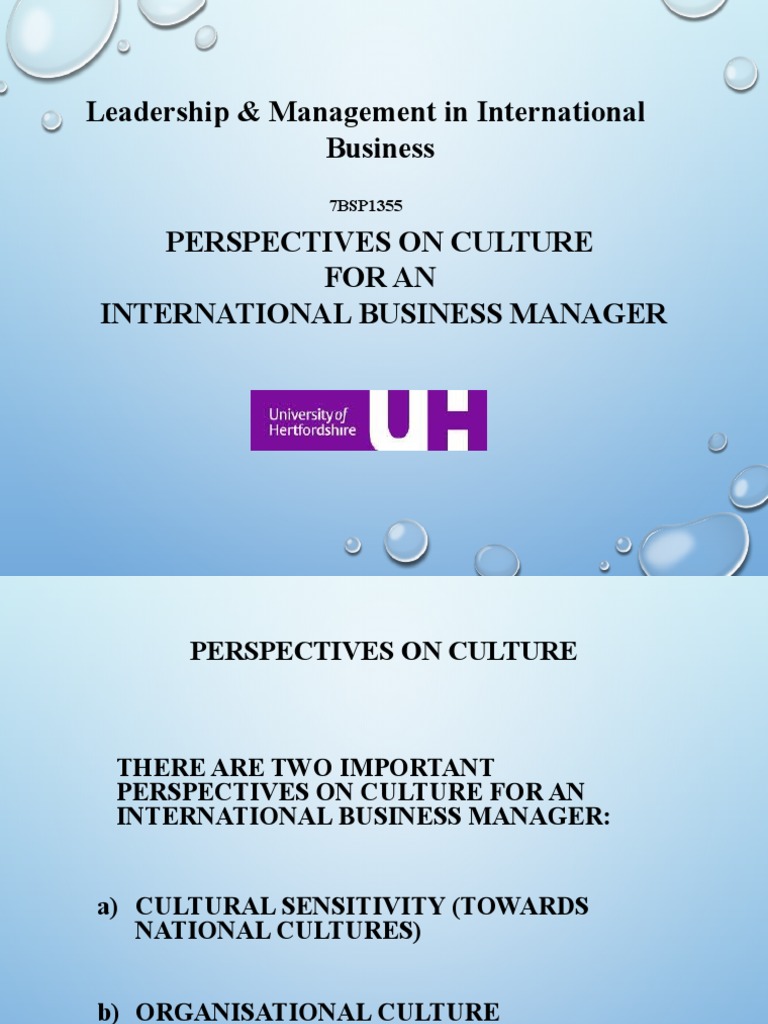 Perspectives On Culture For IBM | PDF | Organizational Culture