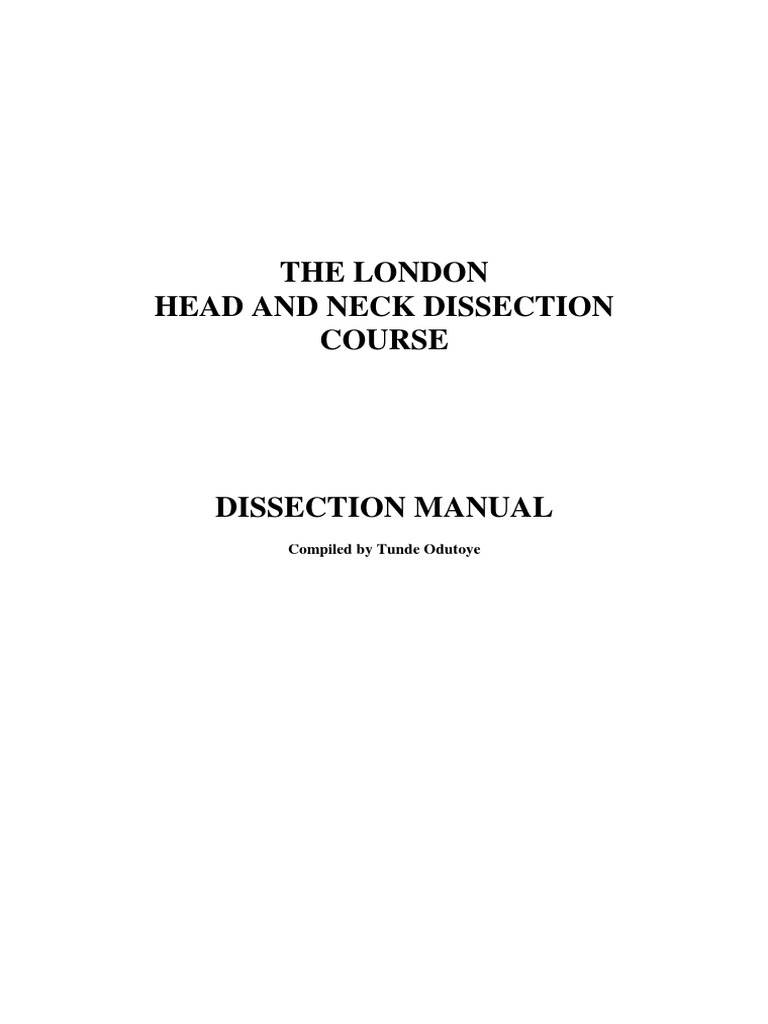 Head and Neck Dissection | PDF | Neck | Common Carotid Artery