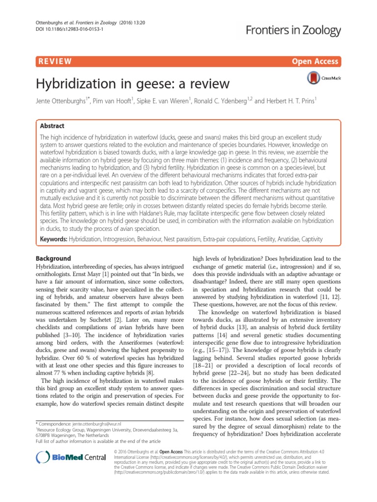 Hybridisation in Geese | PDF | Goose | Evolution
