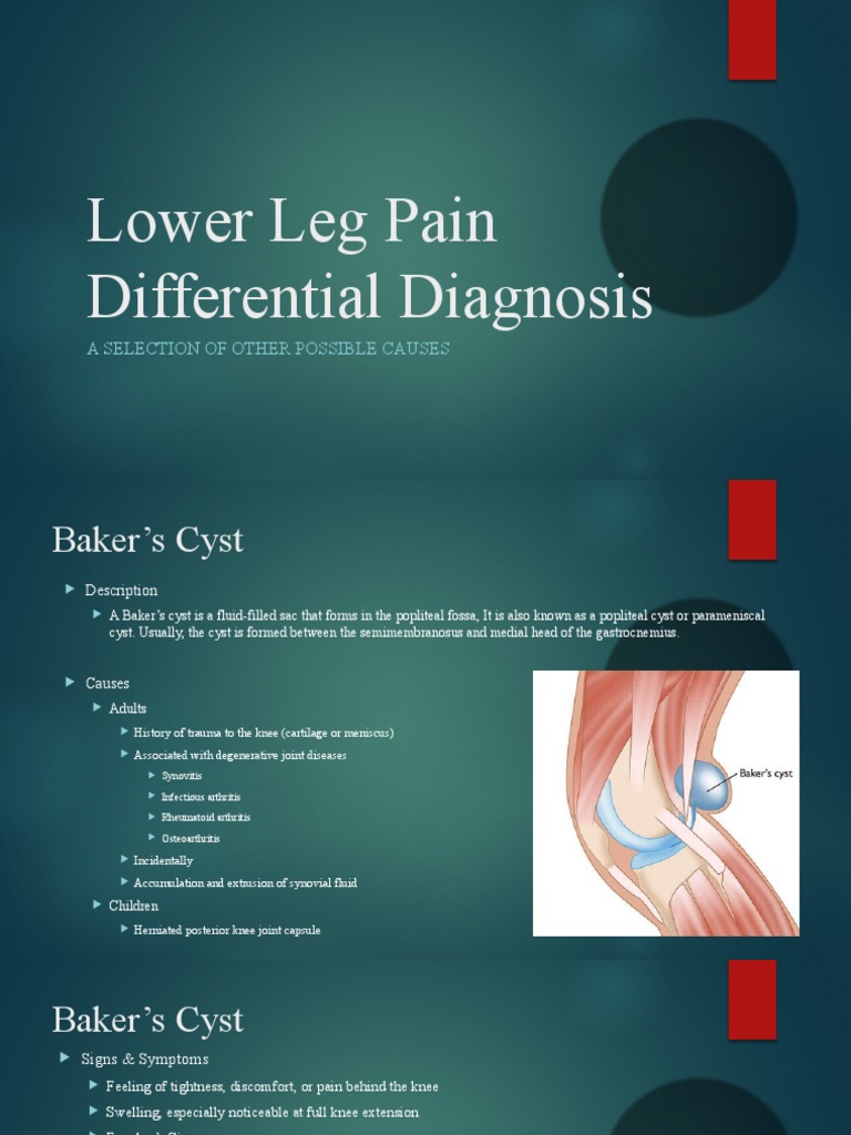 Lower Leg Pain Differential Diagnosis - Other | PDF | Knee | Health ...