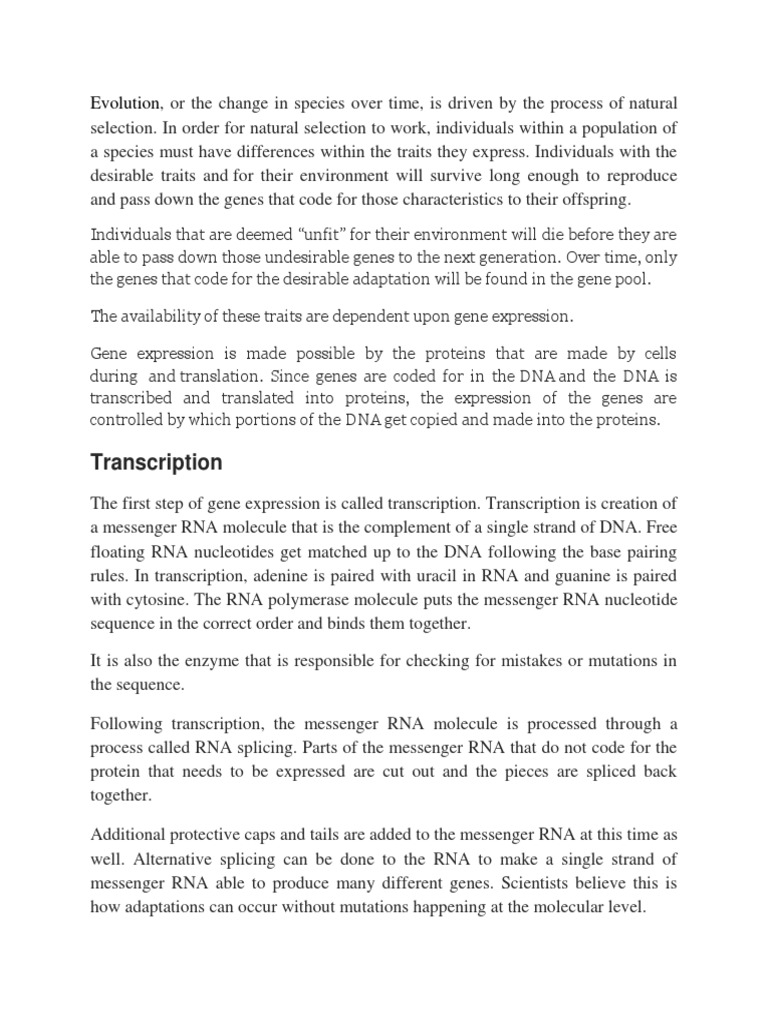 Translation Notes | PDF | Translation (Biology) | Ribosome