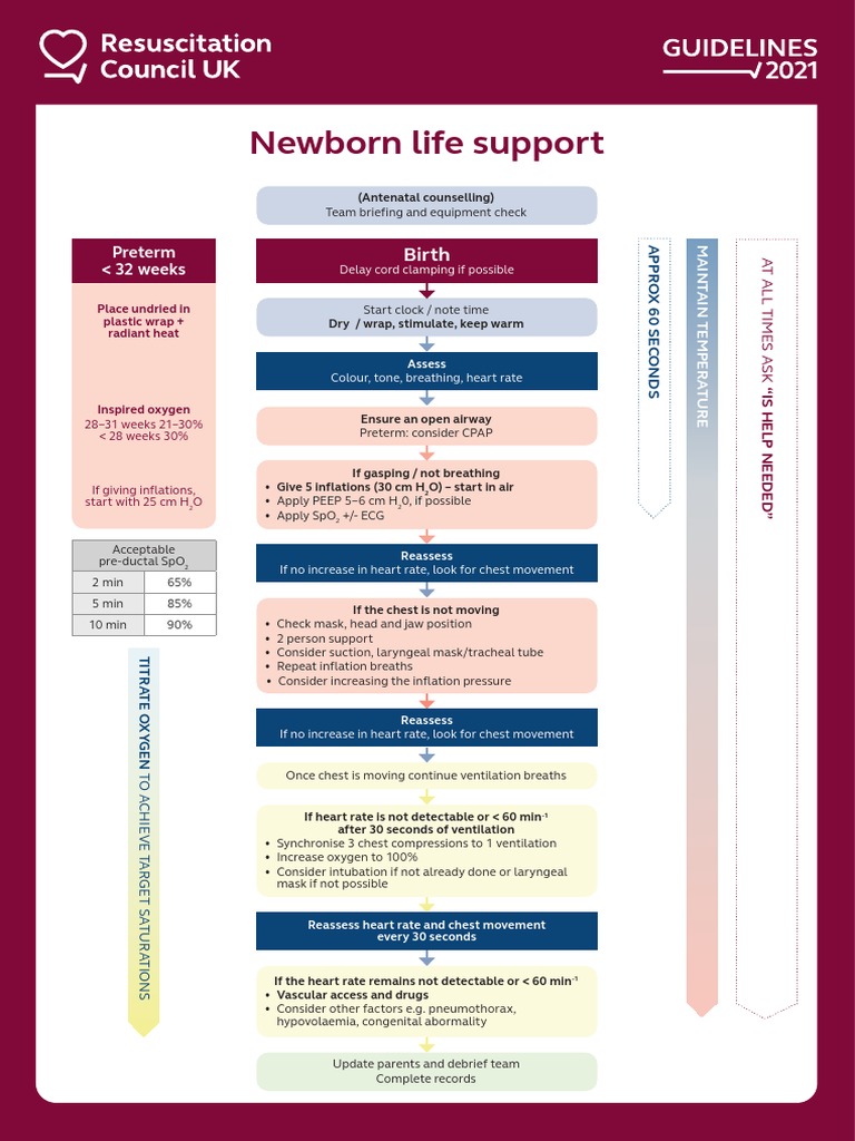 Newborn Life Support Algorithm 2021 | PDF | Breathing | Medical Specialties
