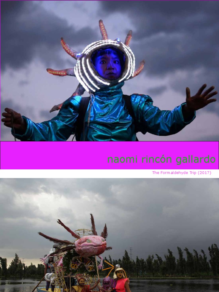 Naomi Rincón Gallardo | PDF
