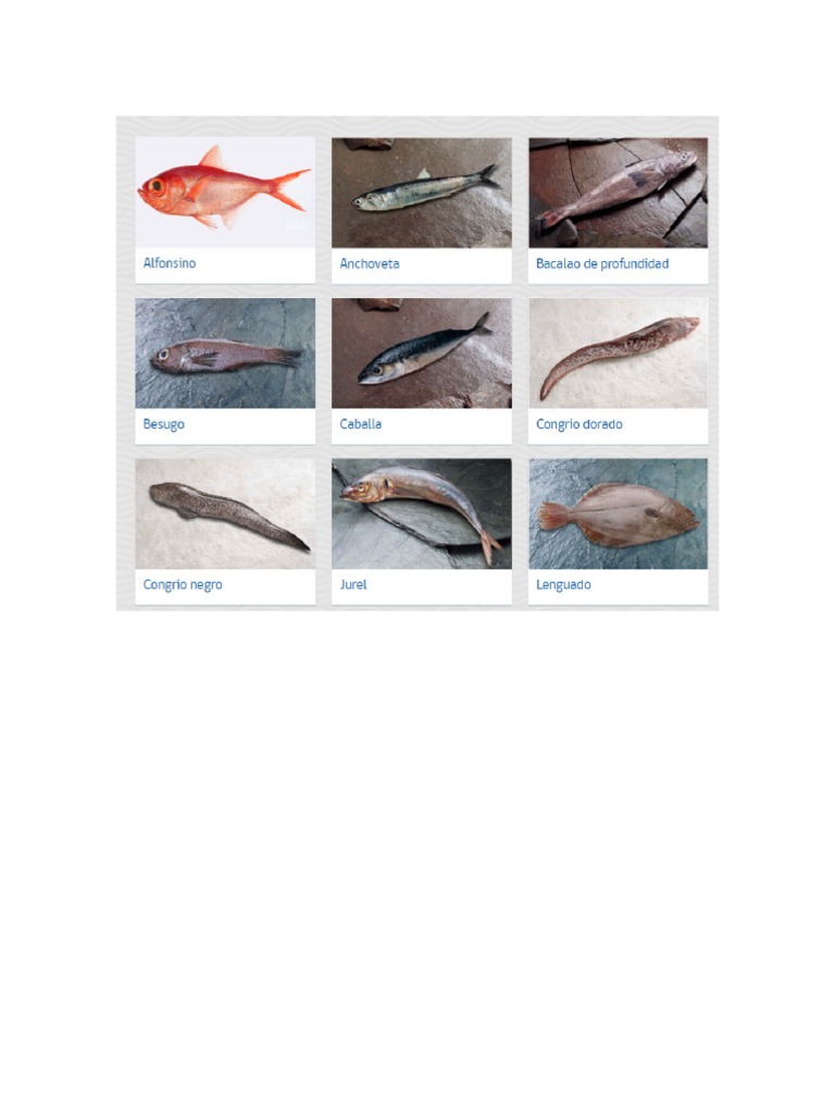 Fotos de Peces de Chile | PDF