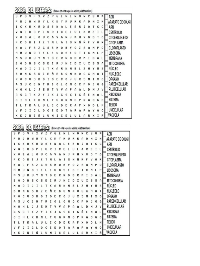 Sopa de Letras de Organelos | PDF