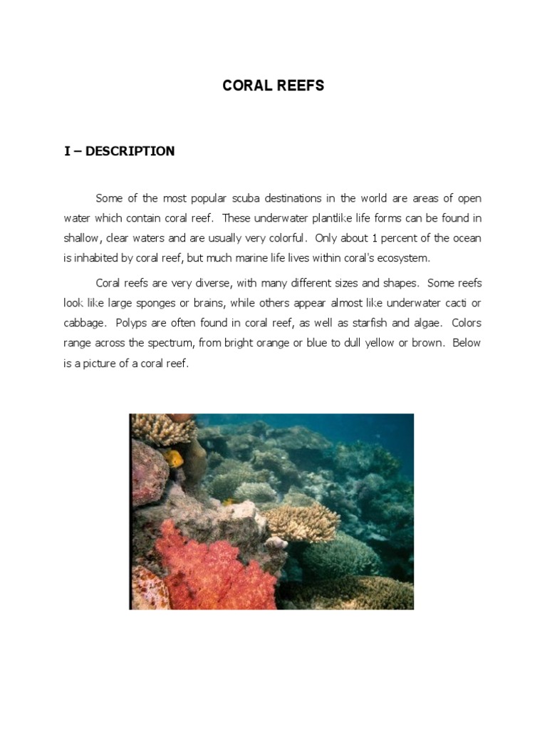 Project in Science Coral Reefs | PDF | Coral Reef | Ocean Acidification
