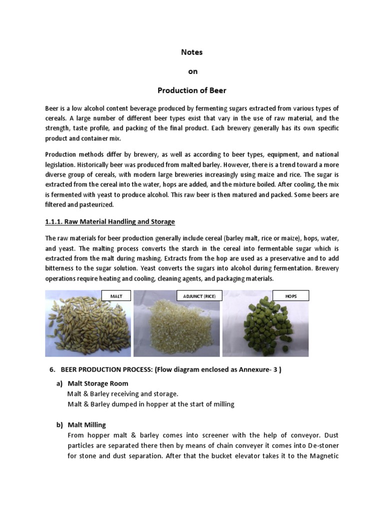 Beer Production Process Overview | PDF | Brewing | Beer