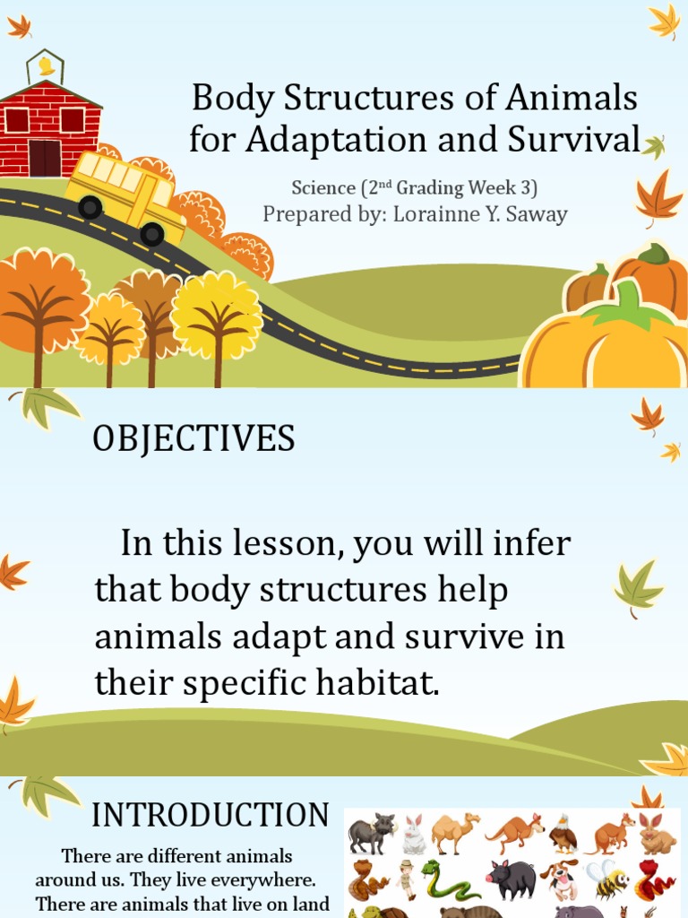 Body Structures of Animals For Adaptation and Survival 2nd Grading Week ...