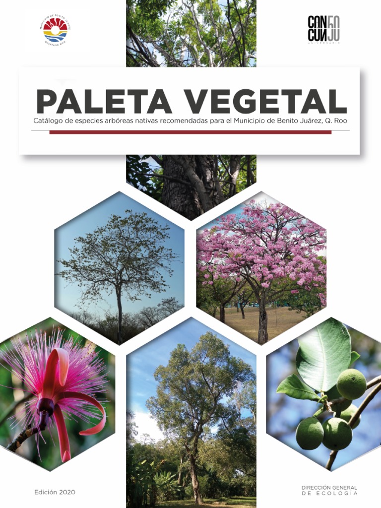 Paleta Vegetal BJ | PDF | Arboles | Plantas