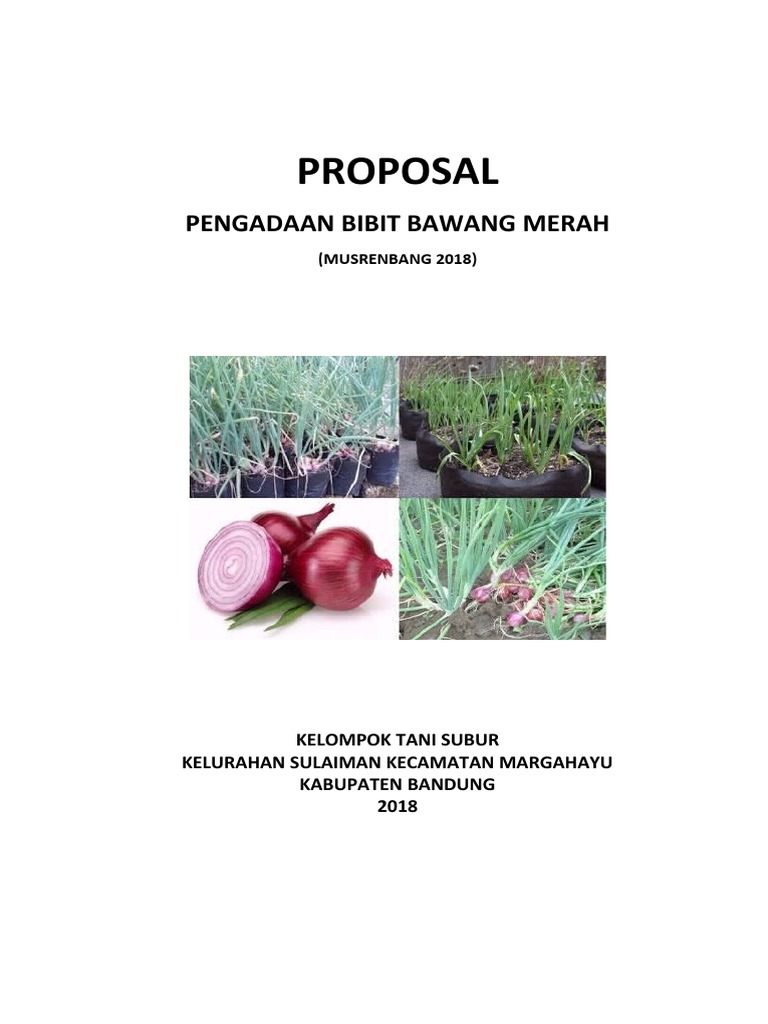 Proposal Bawang Merah (T.S) | PDF