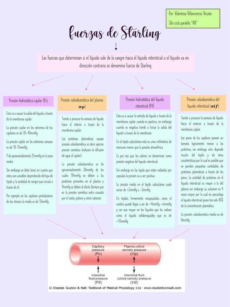 Fuerzas de Starling | PDF | Edema | Capilar