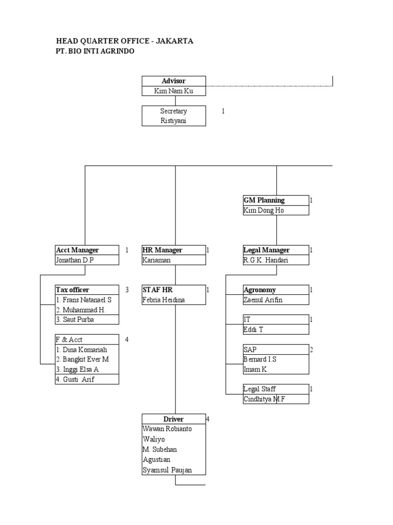 Organization Chart - HRIS Project | PDF
