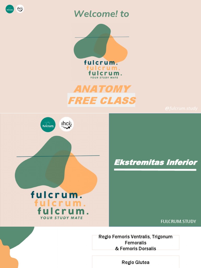 Fulcrum - Anat - 3 - Ekstremitas Inferior - NAD (FREE CLASS ED) | PDF | Kajian Bahasa Asing