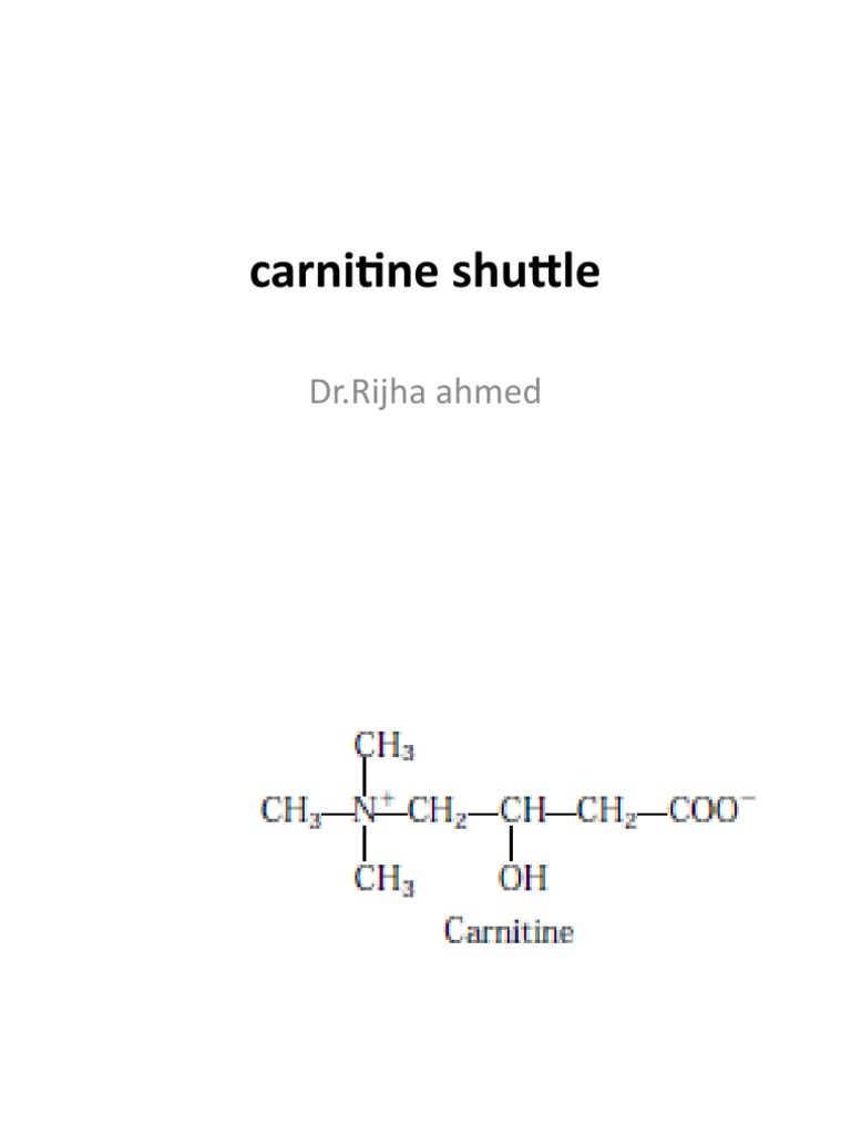 Carnitine Shuttle: DR - Rijha Ahmed | PDF | Biochemistry | Biomolecules