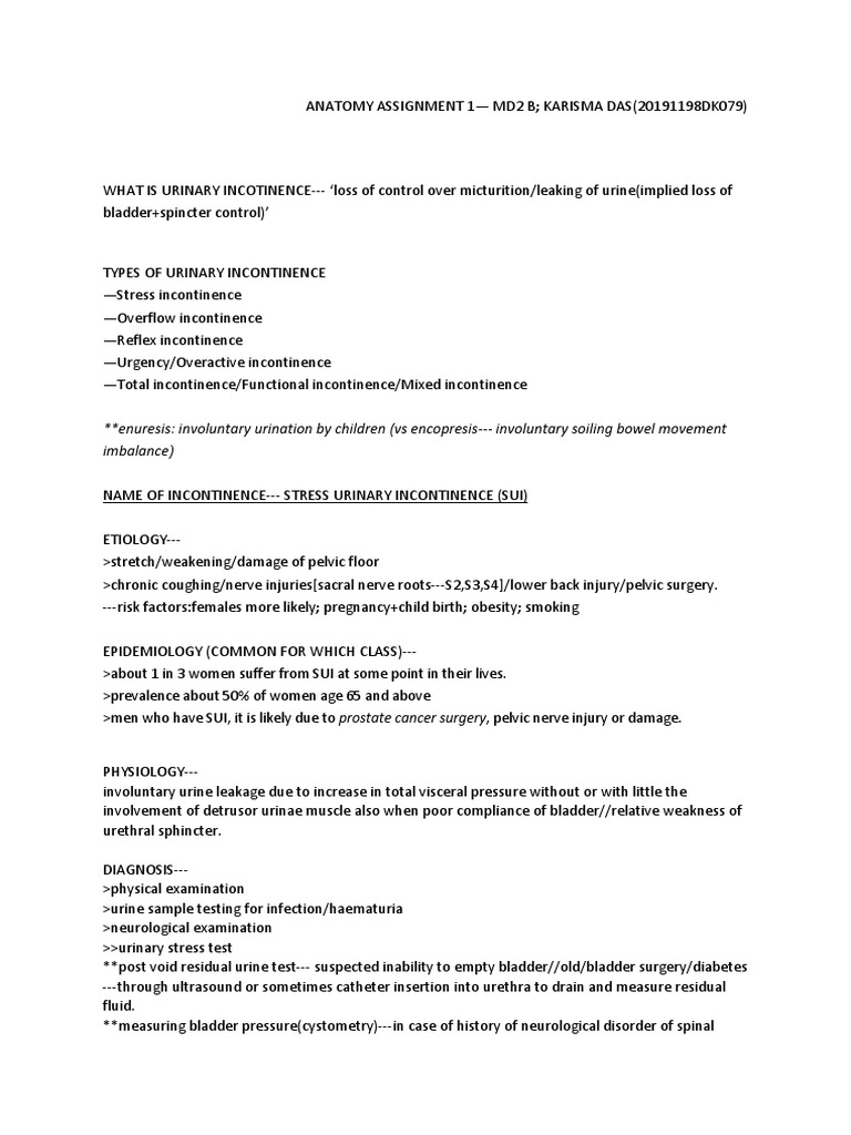 Anatomy Assignment 1 | PDF | Urinary Incontinence | Urination
