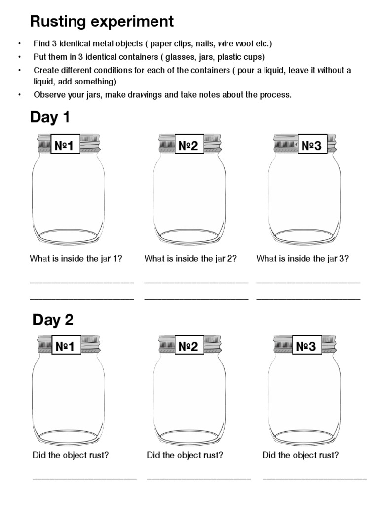 Rusting Experiment | PDF