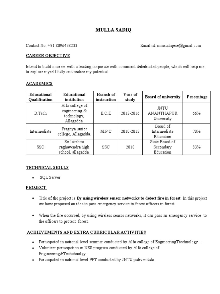 Mulla Sadiq: Career Objective | PDF | Cognition