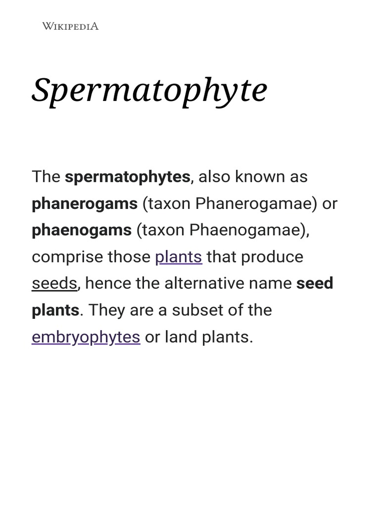 Spermatophyte - Wikipedia | PDF | Organisms | Botany