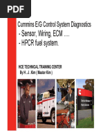 HPI Fuel System | PDF | Fuel Injection | Throttle