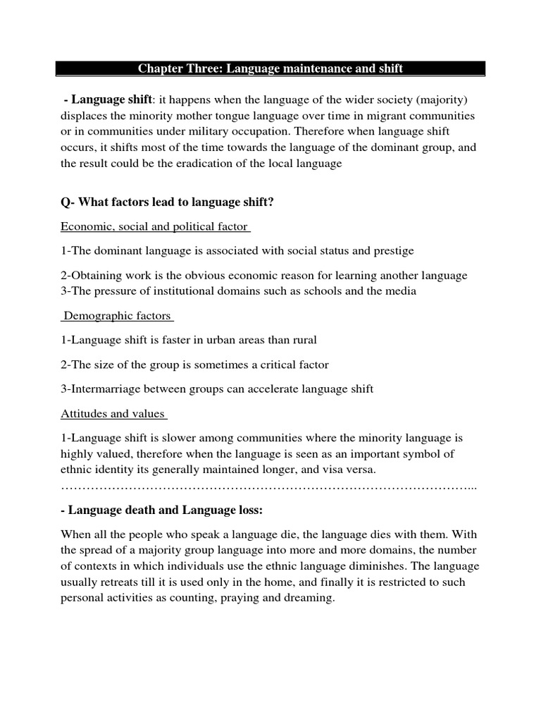 Chapter Three: Language Maintenance and Shift | PDF | English Language ...