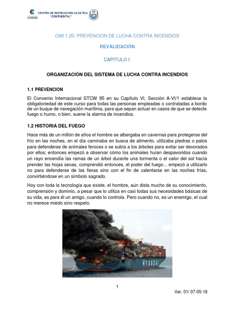 Separat Rev Omi 1.20 Lucha Contra Incendio | PDF | Combustión | Redox